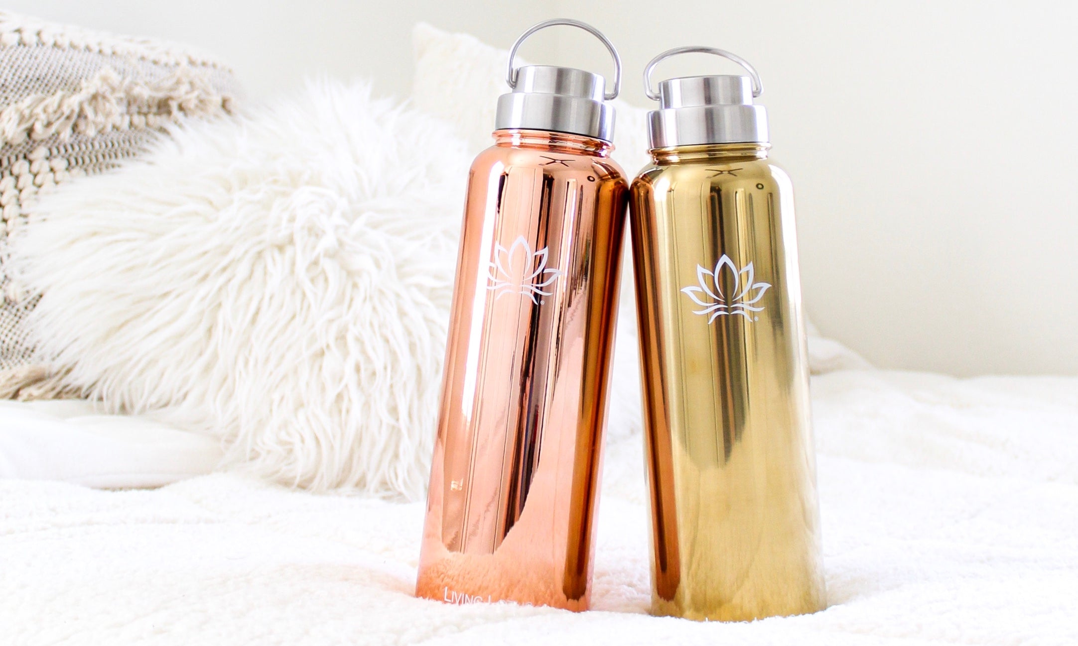 All – Living Lotus